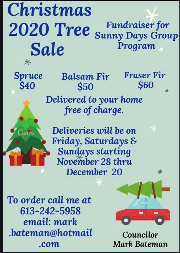 Christmas tree fundraiser supports Sunny Days Group Program | Brighton ...