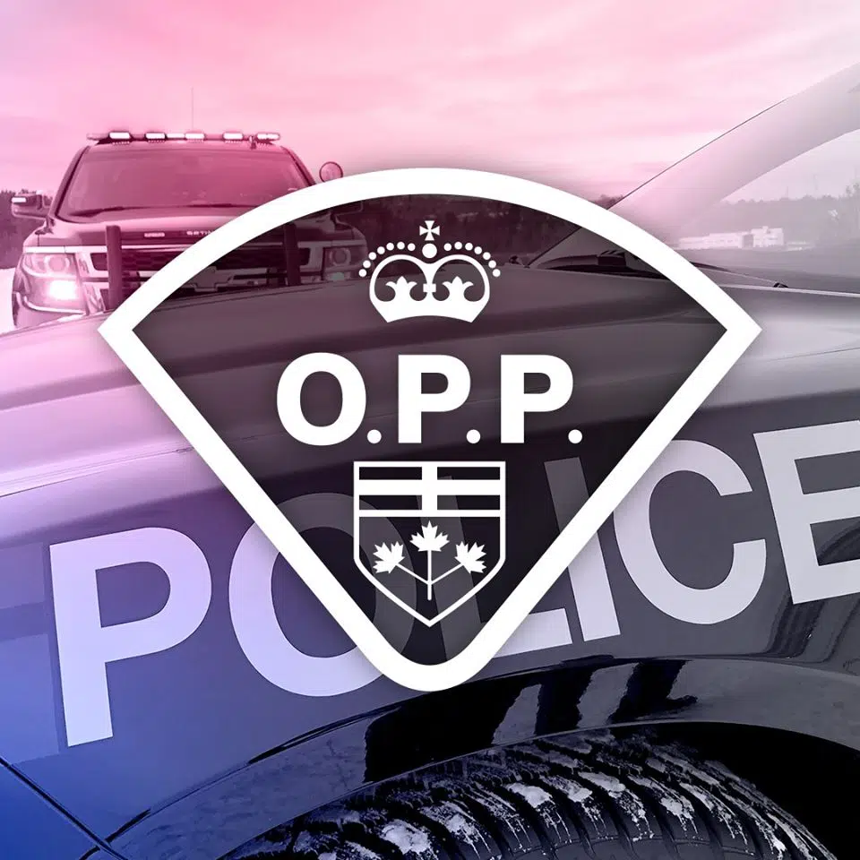 OPP handing out fines to those not complying with emergency orders ...