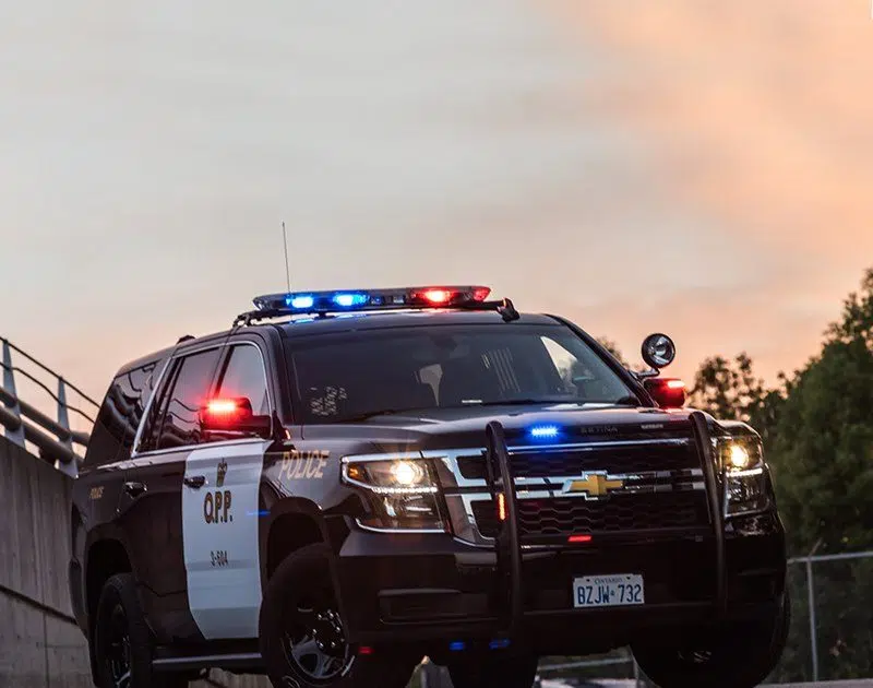 OPP and canine unit locate and arrest break and enter suspect in ...