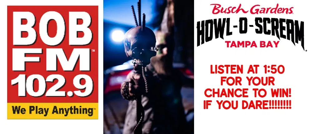 102.9 Bob FM Plays Anything