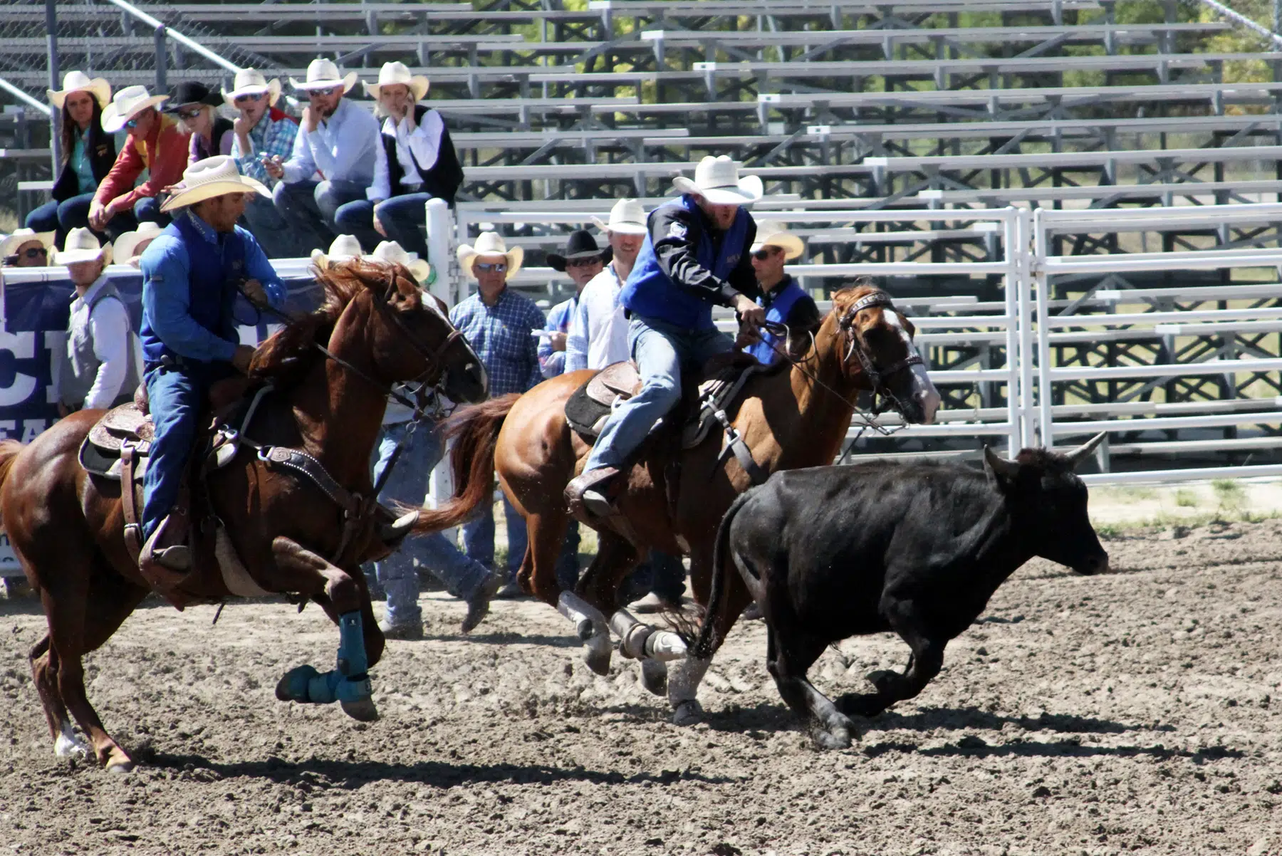 MPCC Cowboy Finishes Third in The Nation | KNLV AM & FM