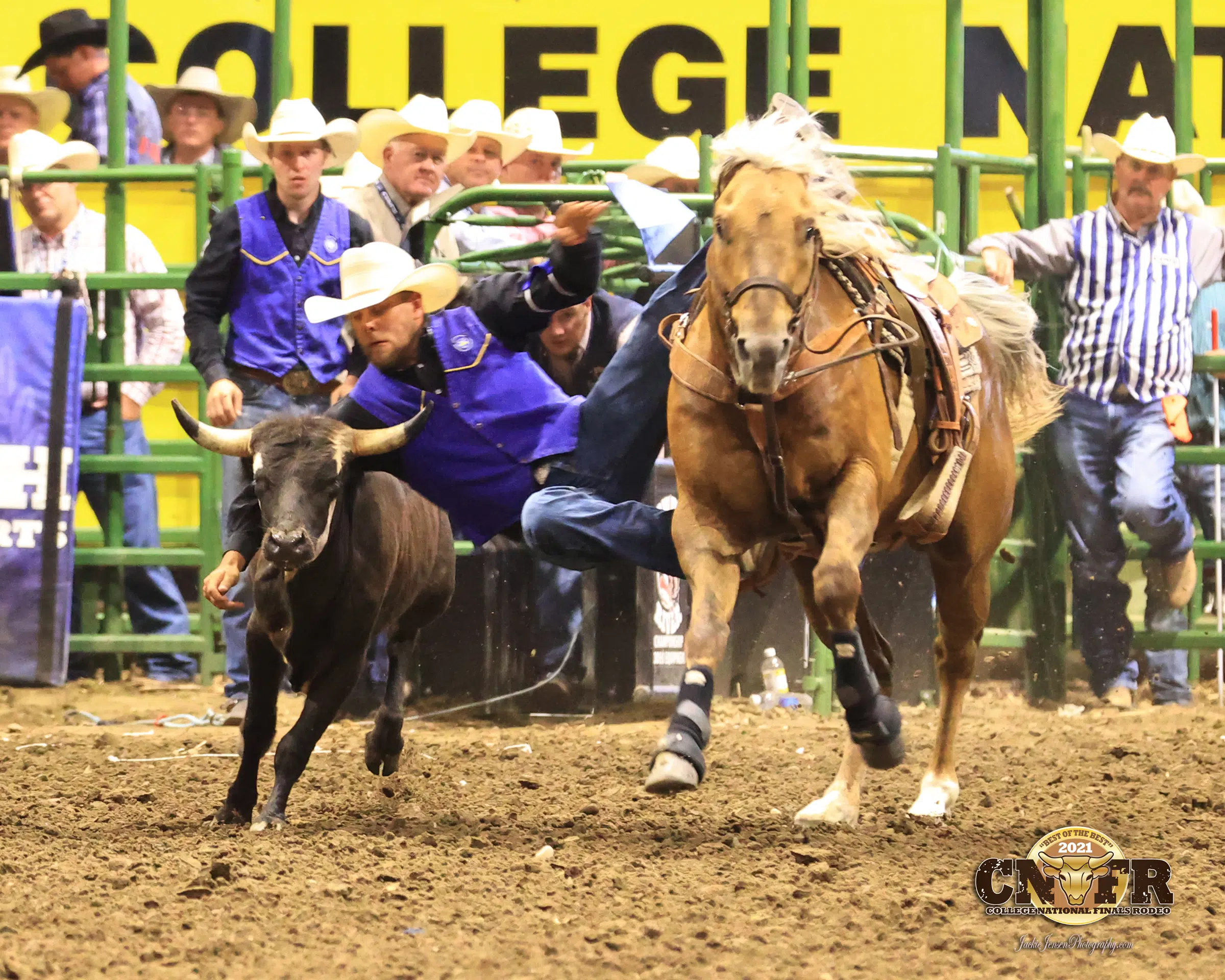 MPCC Rodeo Team Finishes Strong at Nationals | KNLV AM & FM