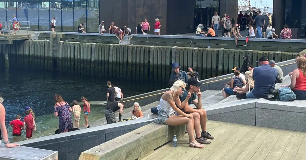 Hfx waterfront stairs to see safety signage as swimmers take the plunge ...