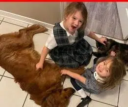 Little Girl Lost Her Dog