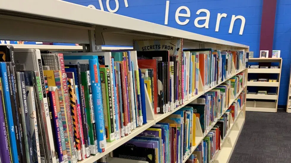 Province looking for public feedback on libraries | northeastNOW