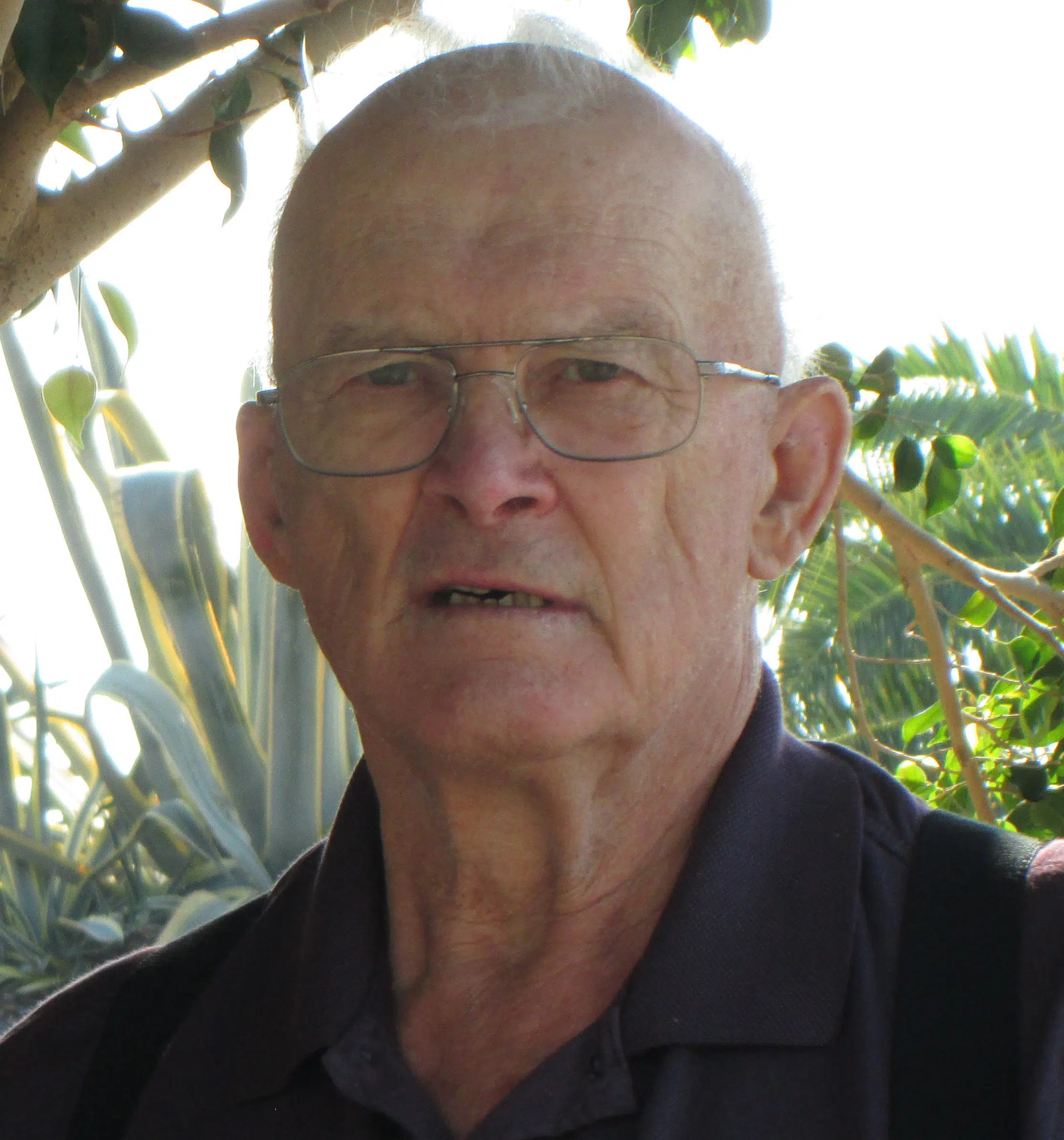 Ronald Dale Healey | northeastNOW