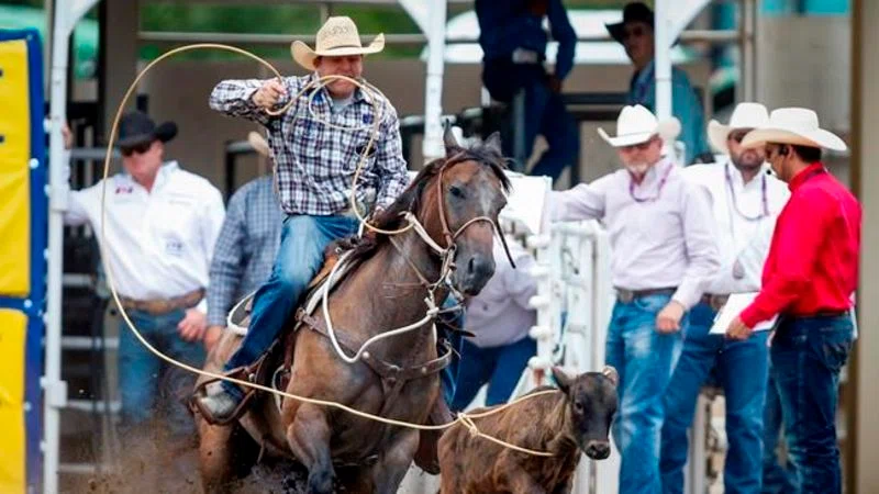 Caleb Smidt wins Calgary Stampede rodeo, beating out three former ...