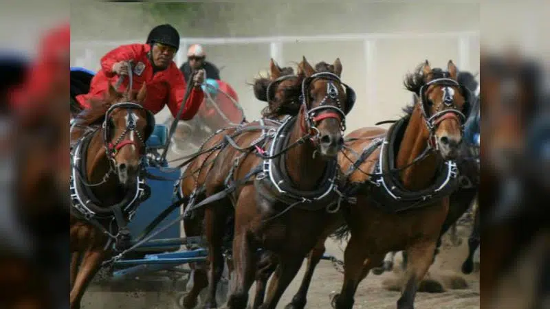 Ray Mitsuing hangs up the reigns after three decades of wagon racing ...