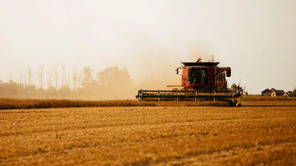 Lower tariffs on the horizon for pulse producers: Cropsphere researcher ...