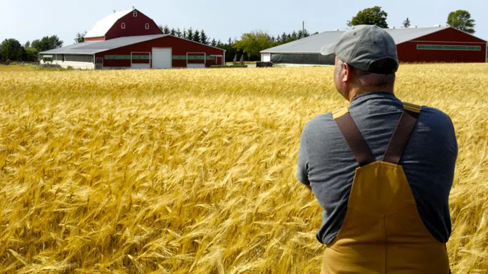Sask. farm group addresses Senate on carbon tax | farmnewsNOW