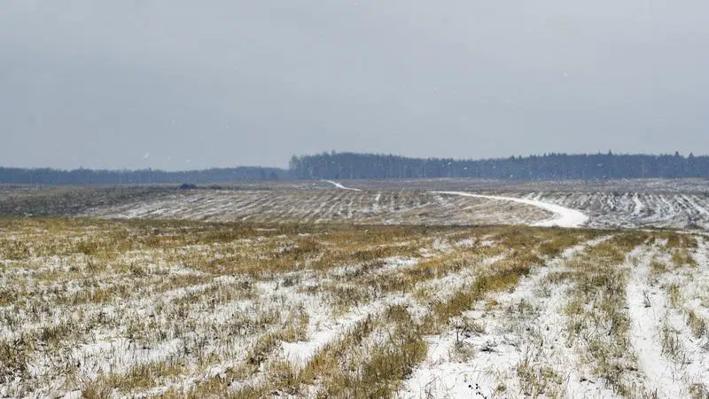 Good yields, poor quality in last crop report | farmnewsNOW