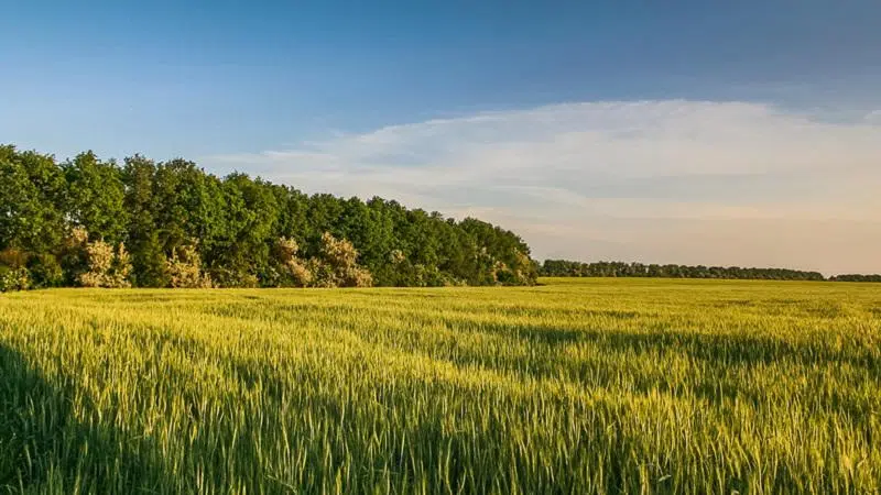Indian Head researcher putting dollar value on field boundaries ...