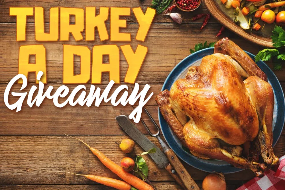 WDEZ 101.9 FM Great Country