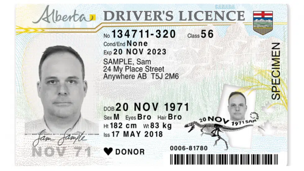 Three options for gender available on Alberta driver’s licenses ...