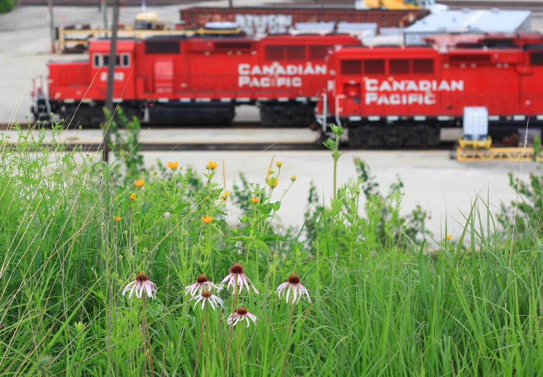 Train conductor dead after workplace accident | EverythingGP