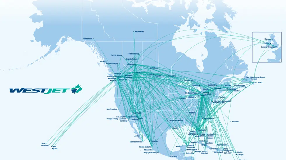 WestJet flight crew spots aerial companion during Edmonton landing ...