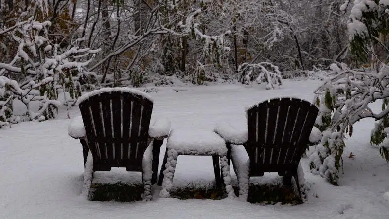 Snowfall warning in place for Grande Prairie and area | EverythingGP