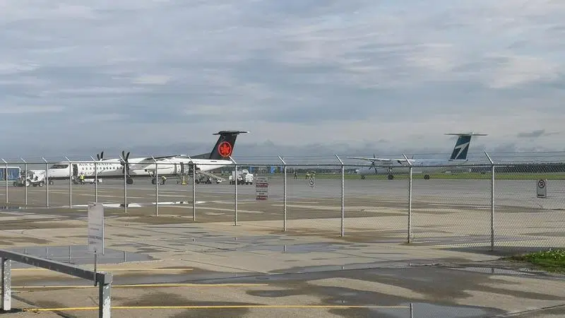 Federal funding to help replace wildlife fencing around Grande Prairie ...