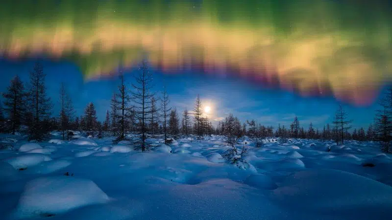 Average fall, cold winter ahead, The Weather Network predicts ...