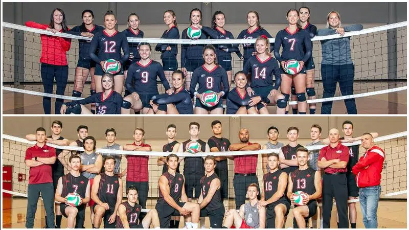 Wolves Volleyball teams take home court to open season | EverythingGP