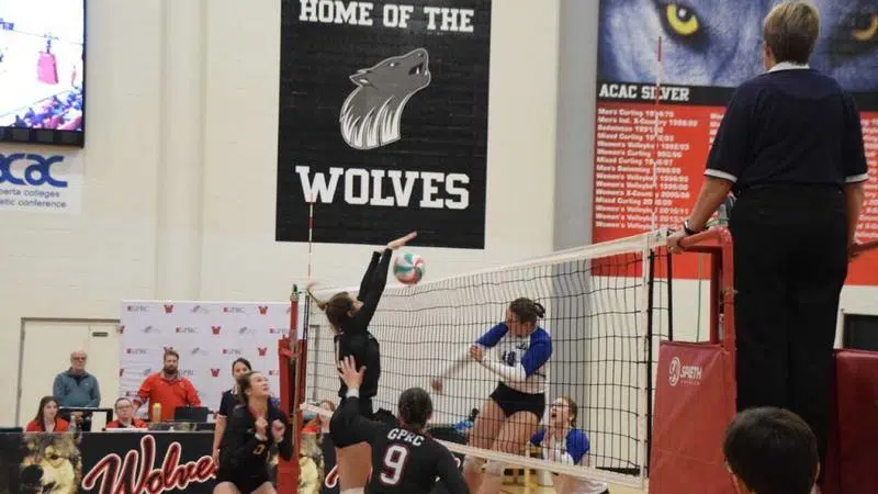 Wolves women’s volleyball remains unbeaten to start ACAC season ...