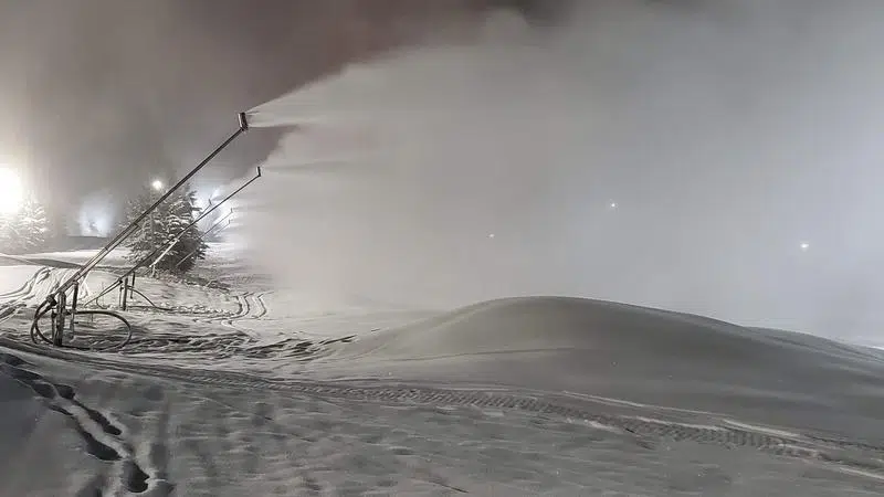 Nitehawk opening this weekend | EverythingGP