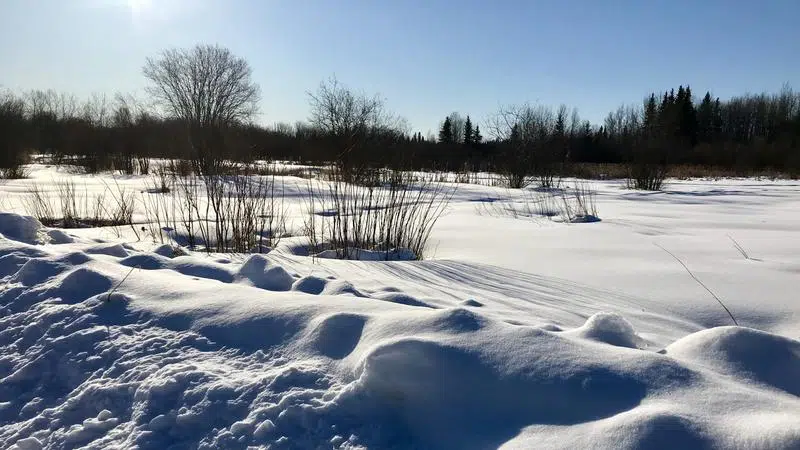 Peace River area placed under extreme cold warning | EverythingGP