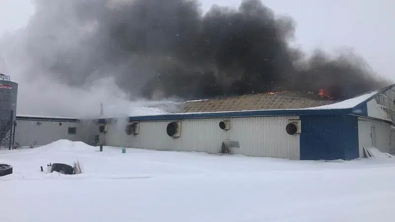 Pig barn fire in the County of Grande Prairie | EverythingGP