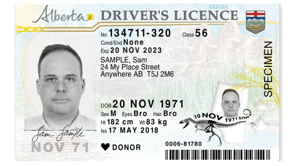 Province unveils ‘more secure’ driver’s licences and ID cards ...