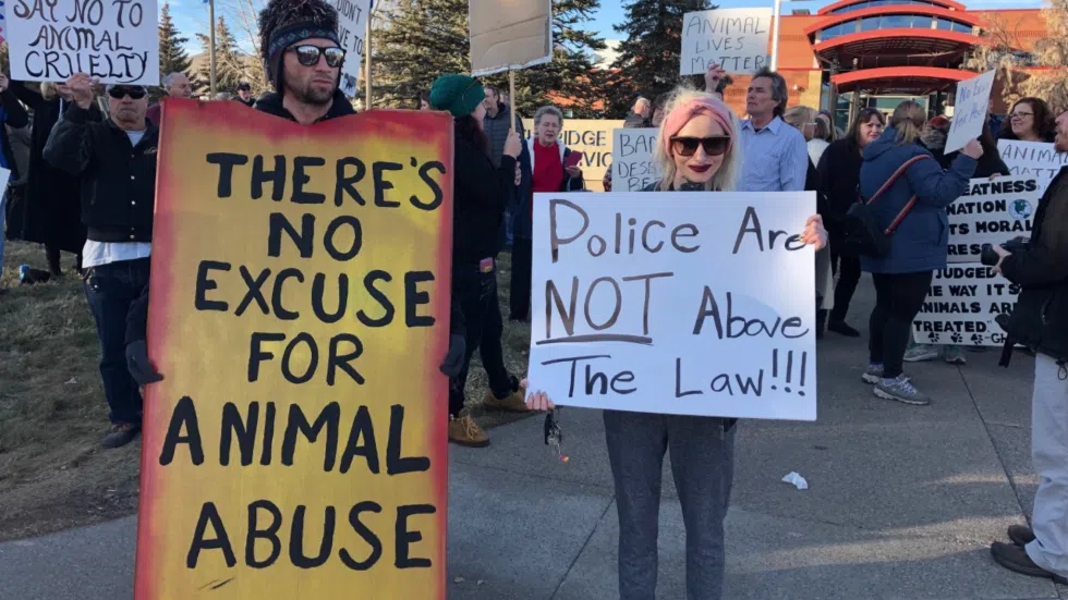 Dozens protest to demand firing of Lethbridge Police Officer who ran ...