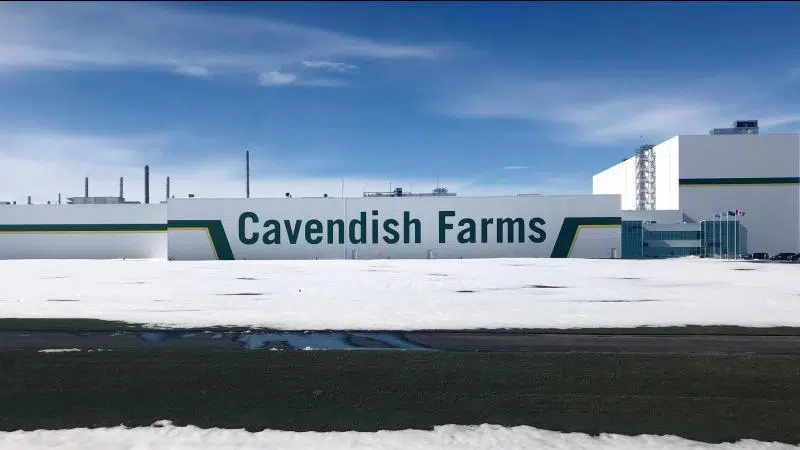 $430 million Cavendish potato processing facility now officially open ...
