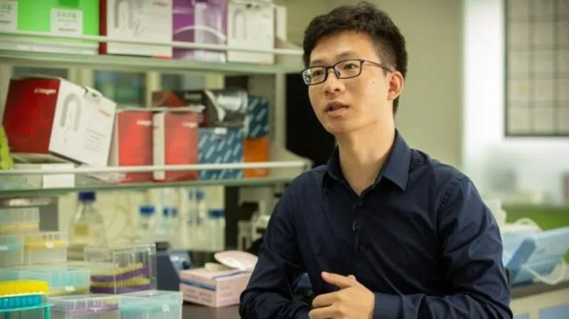 China convicts 3 researchers involved in gene-edited babies | rdnewsnow.com