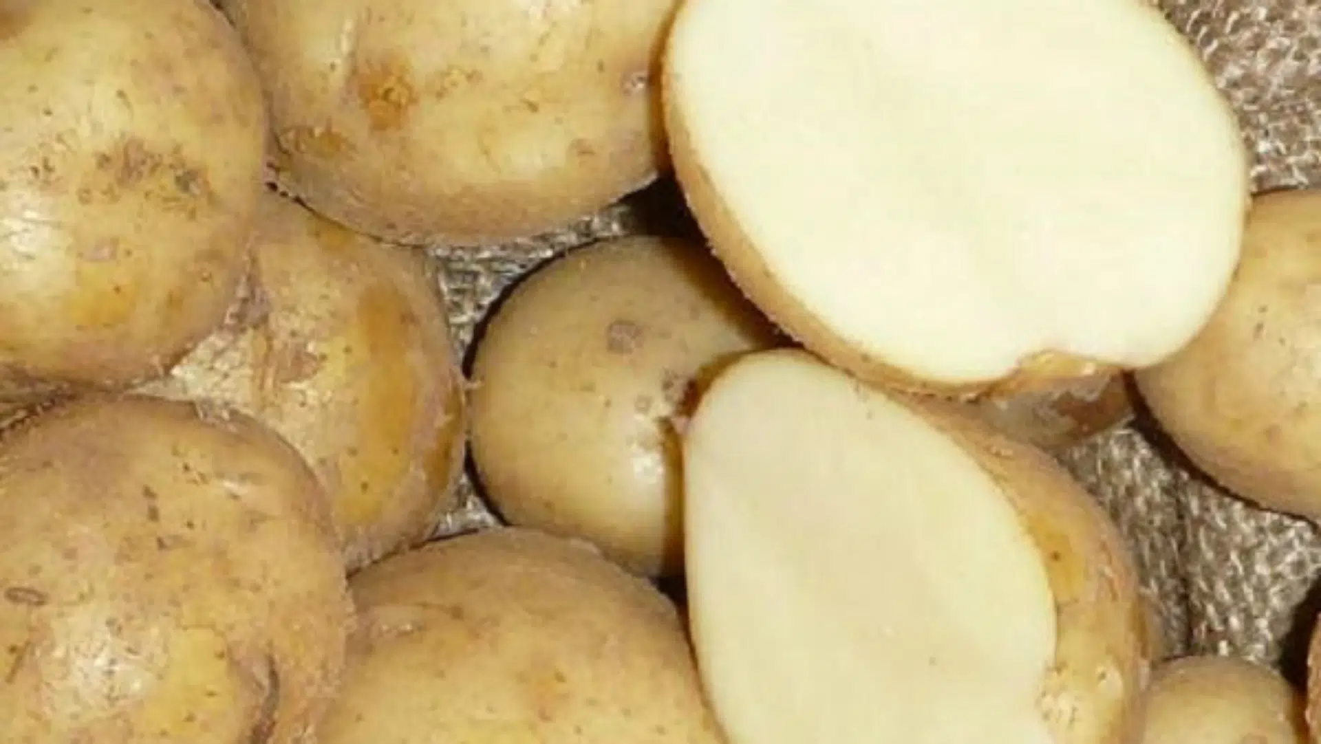 Potatoes expected to be available despite poor harvest | Lethbridge ...