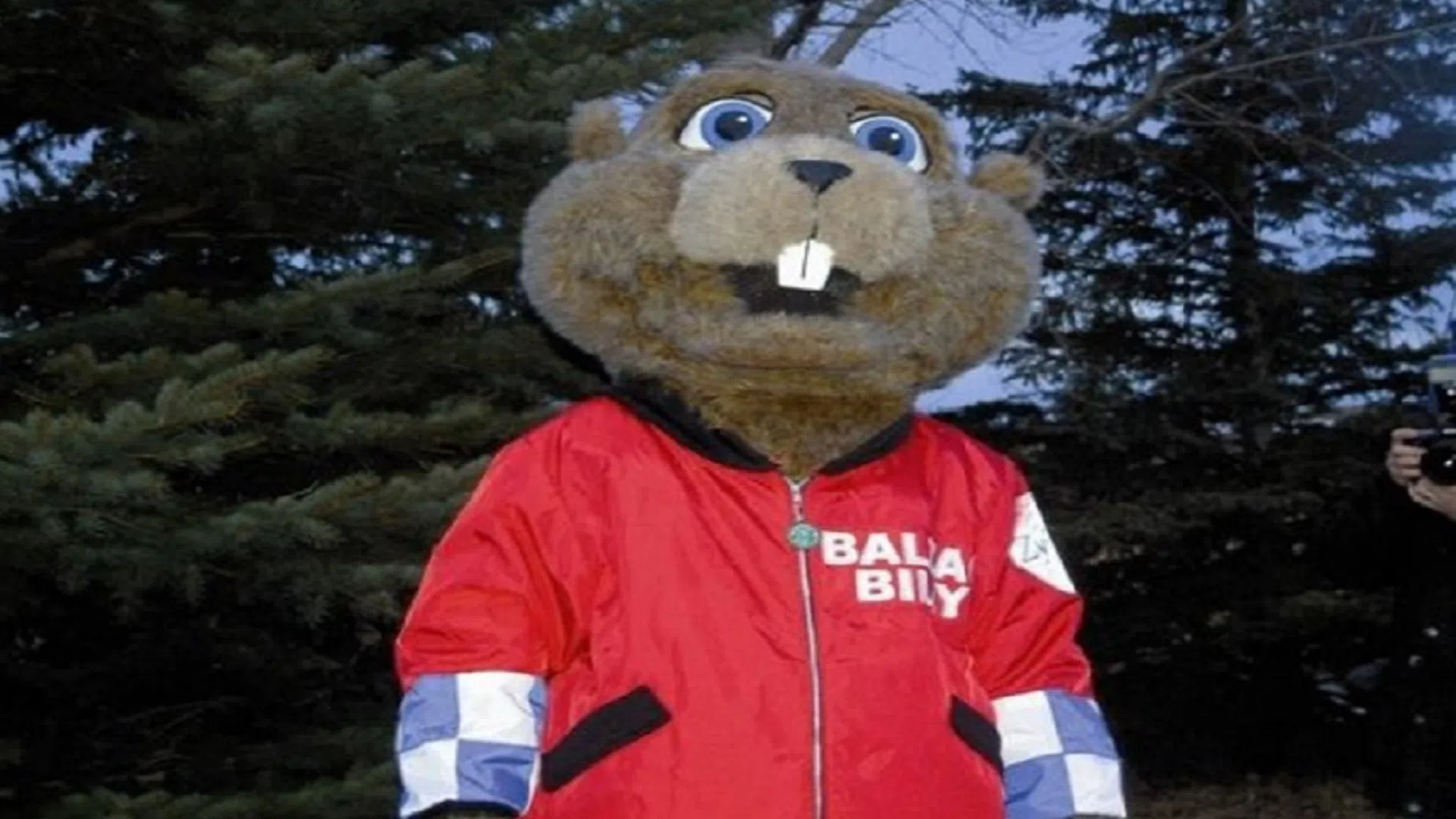 Groundhog round-up – Balzac Billie has good news | Lethbridge News Now