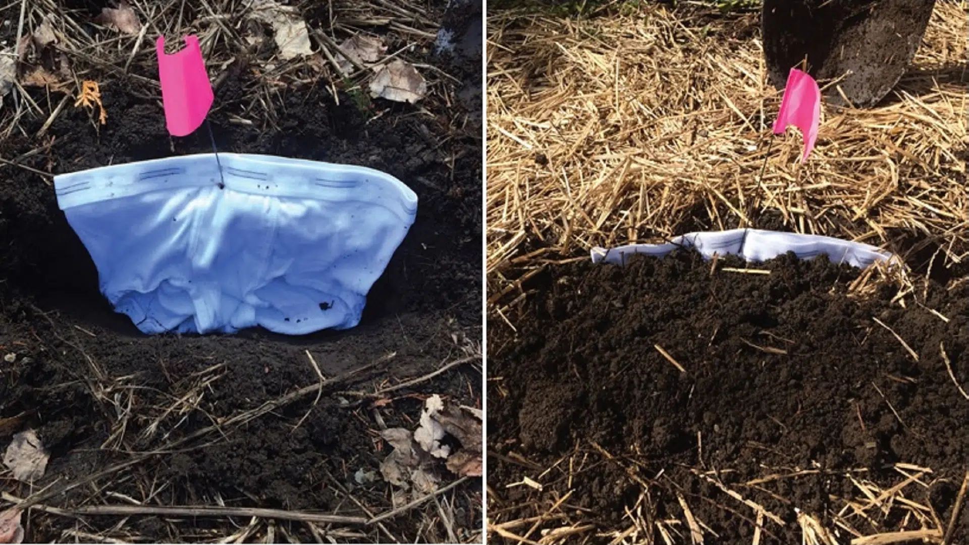 Soil your undies in the name of soil conservation | Lethbridge News Now