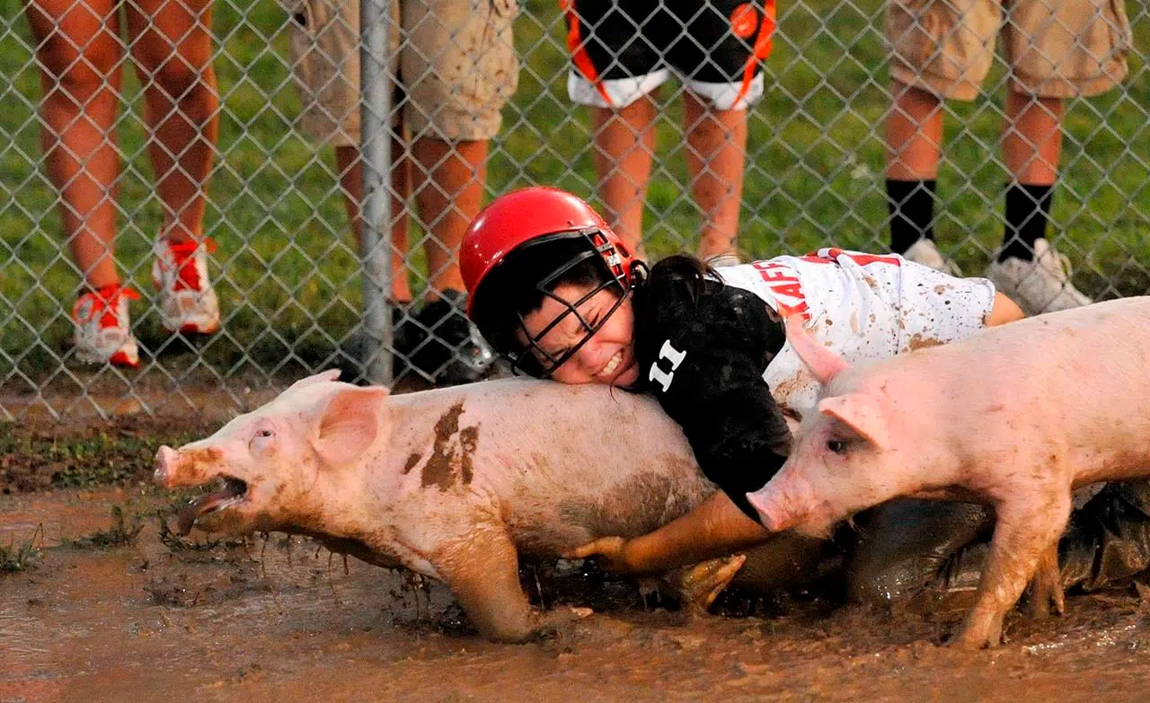 Woman attempts to bring end to pig-chasing events at county fairs on ...