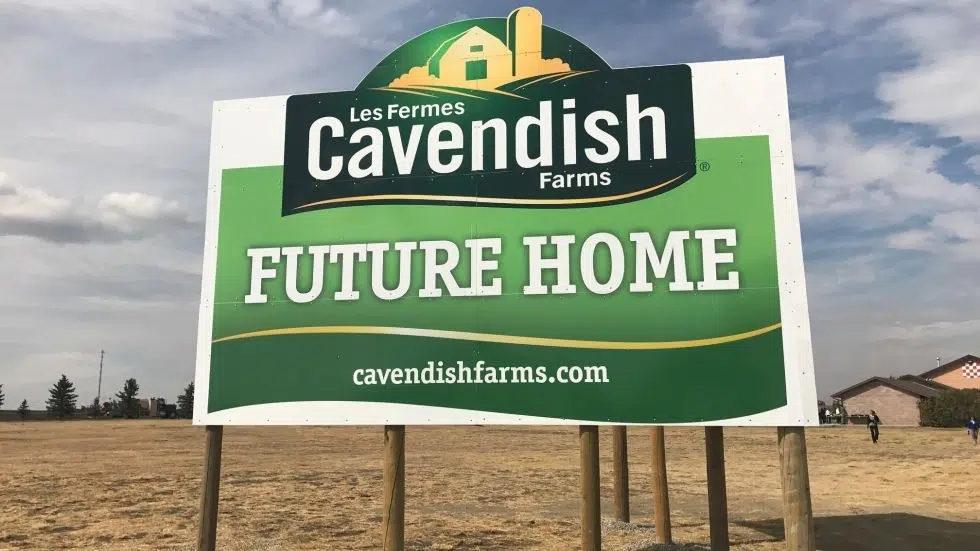 UPDATE: Occupational Health & Safety closes file on workplace fatality ...