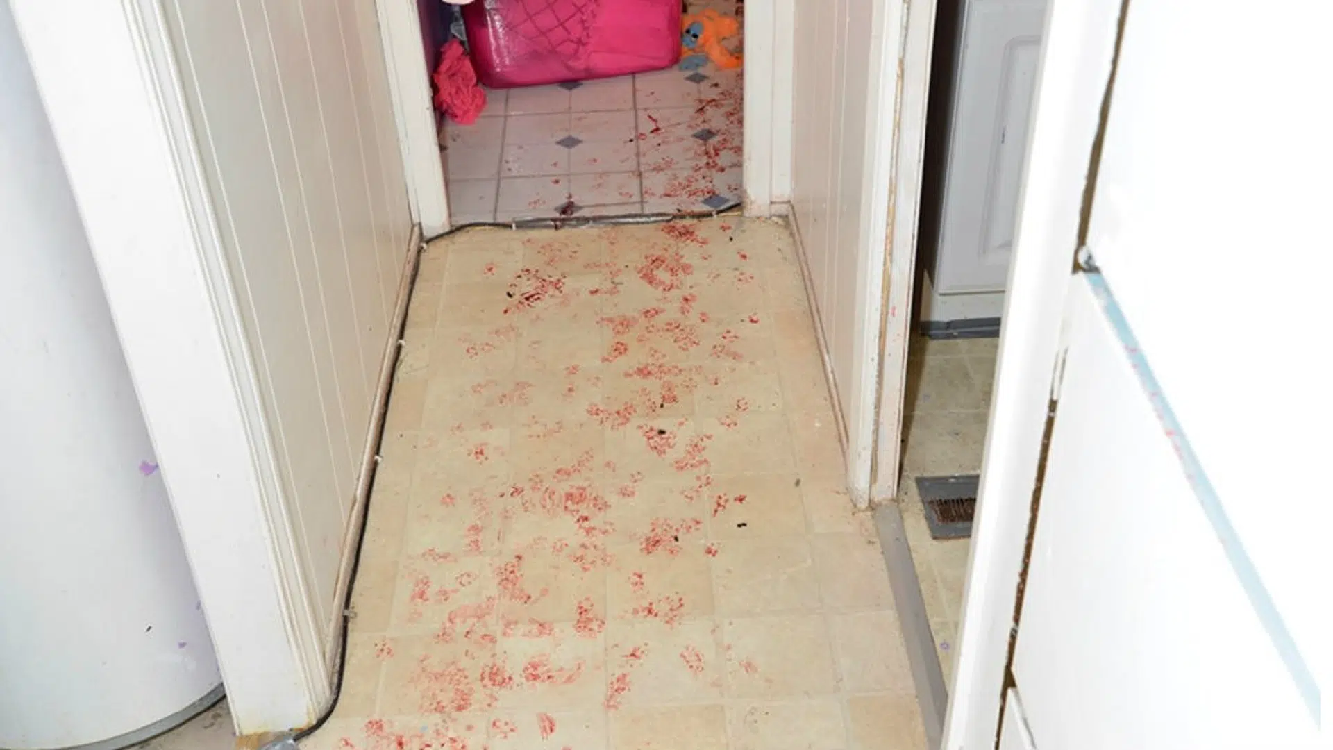 Jury in Saretzky trial told first of three victims died from blunt ...