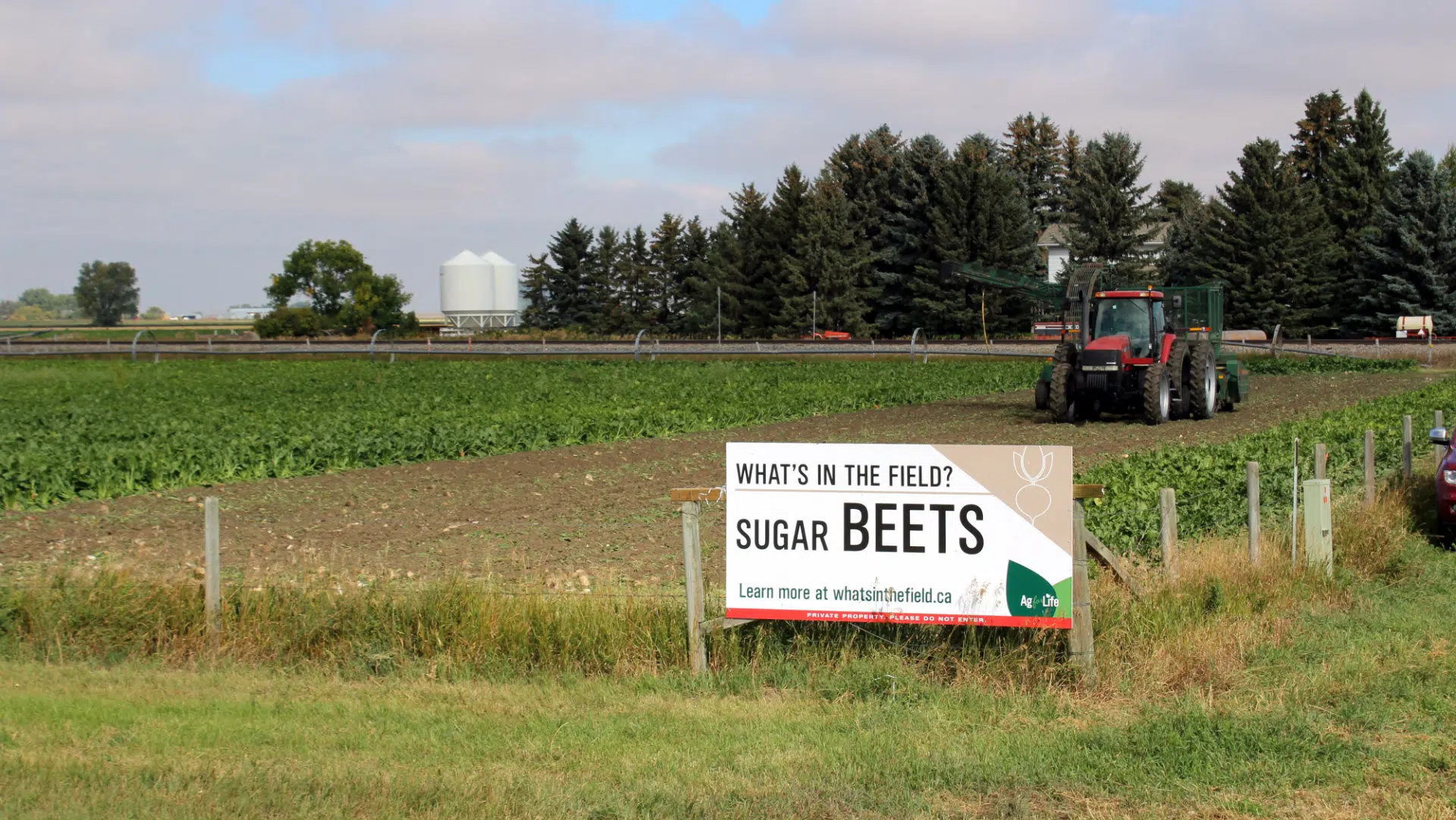 Roadside signs to tell you exactly ‘What’s in the Field’ | Lethbridge ...