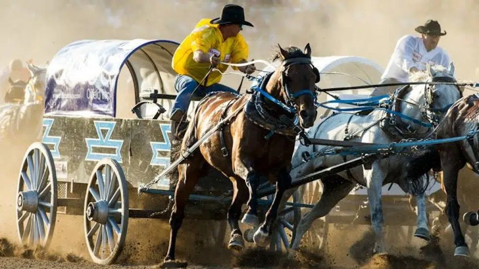 Subtle changes for better security at 2018 Calgary Stampede: officials ...