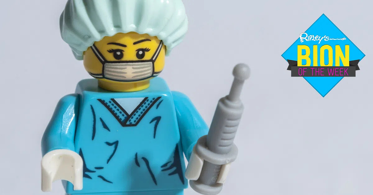 Six Doctors Swallow LEGO Pieces For Science | Lethbridge News Now