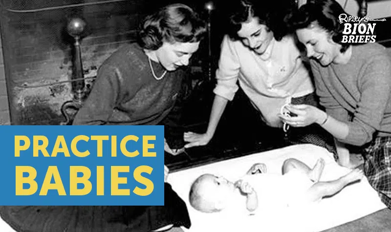 The Dystopian Program Of Practice Babies | Lethbridge News Now