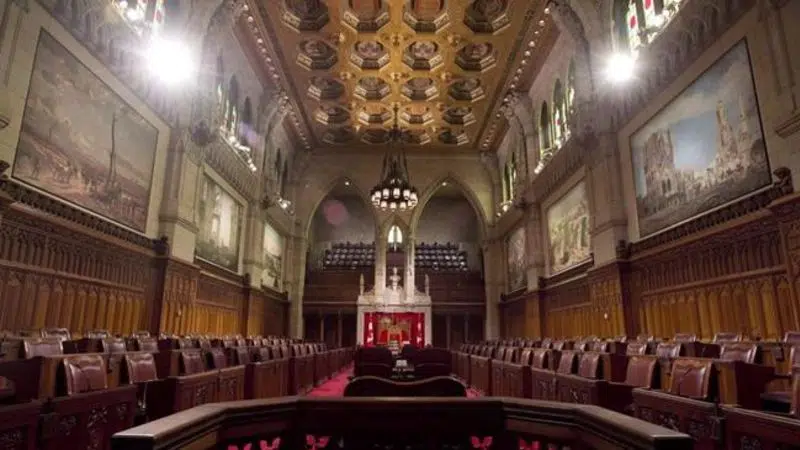 Federal Court of Appeal narrows release of Senate-scandal documents ...