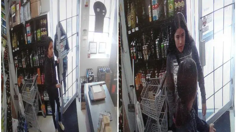 Fort Macleod RCMP investigating liquor store theft | Lethbridge News Now