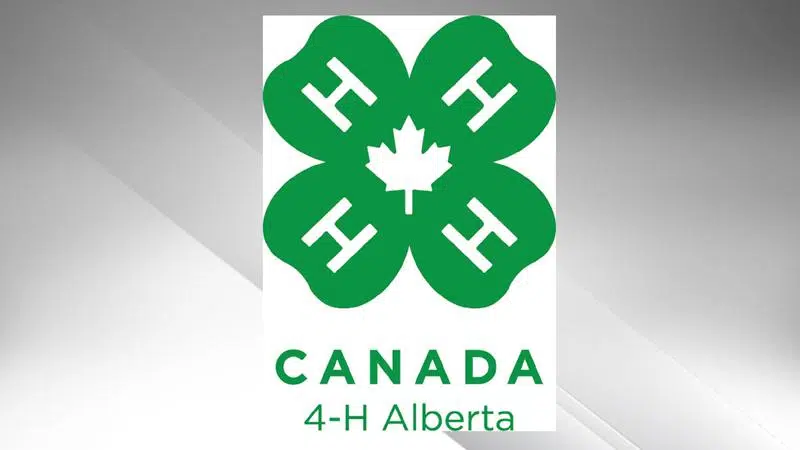 Alberta 4-H groups need community support for Charity Animal Auctions ...