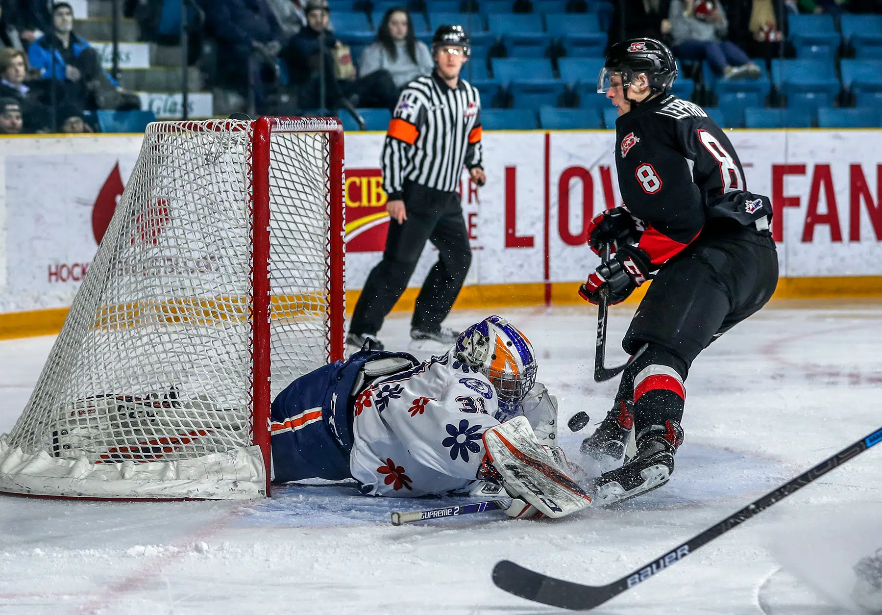 Ferguson turnaround helping Blazers return to playoff chase | CFJC ...