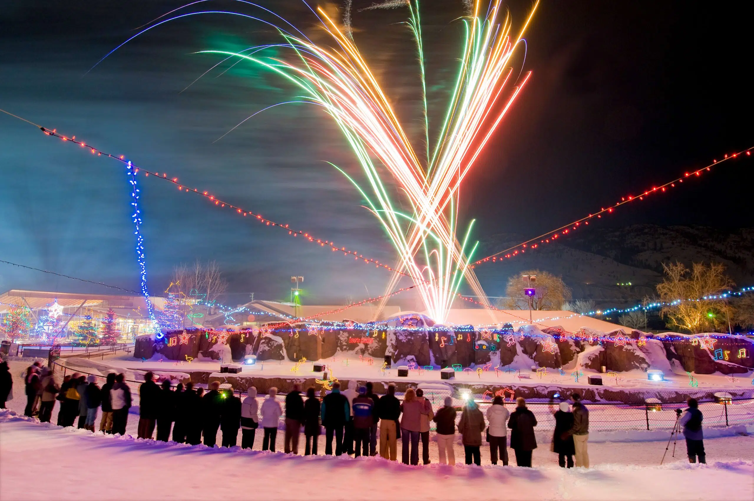 Wild Lights are back at the Wildlife Park | CFJC Today Kamloops