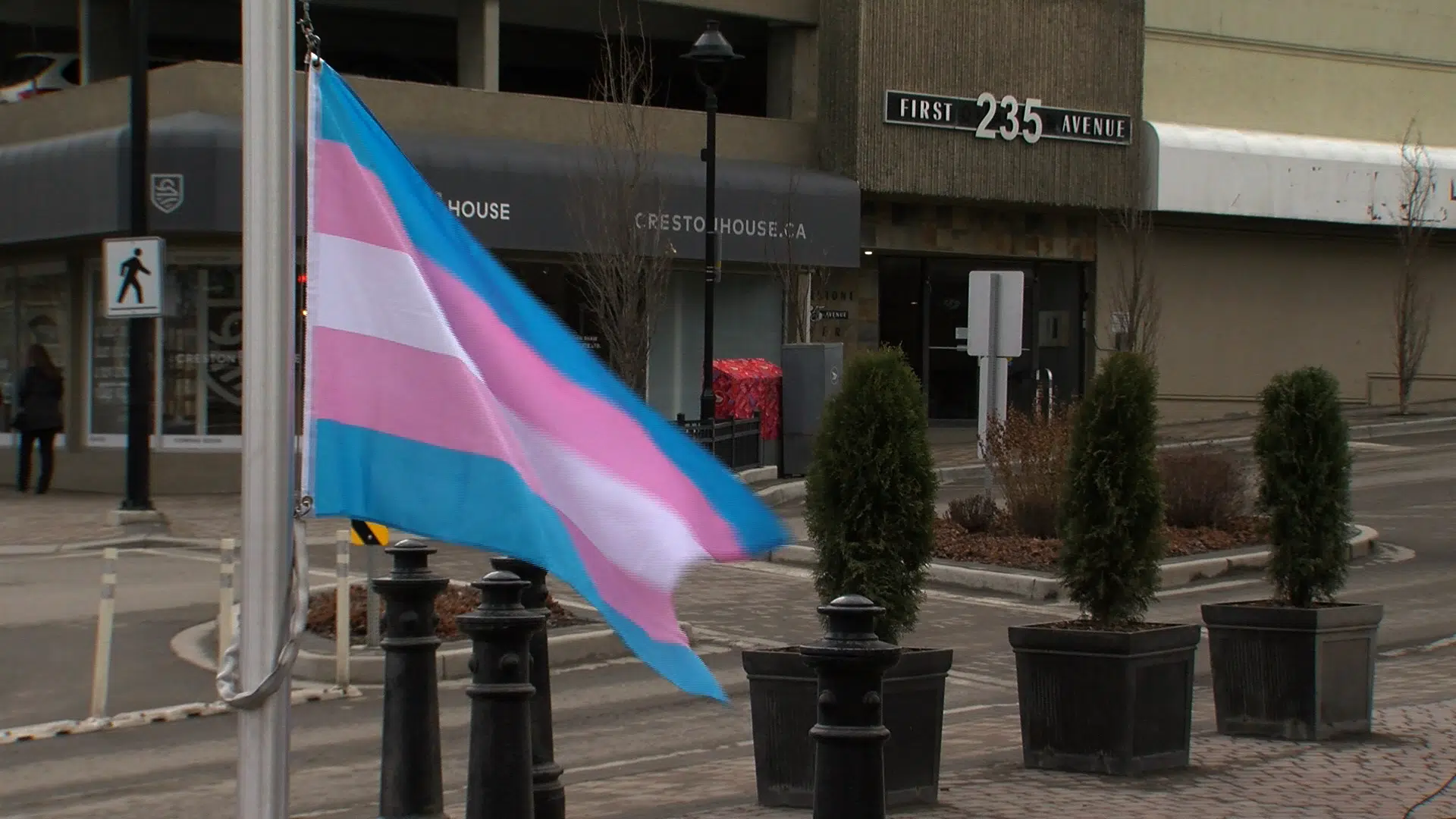 Transgender Pride flag flies ahead of International Day of Visibility ...