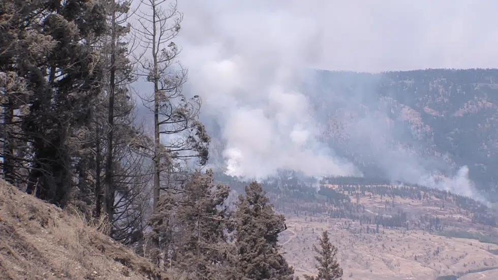 Elephant Hill fire explodes to 110-thousand hectares | CFJC Today Kamloops