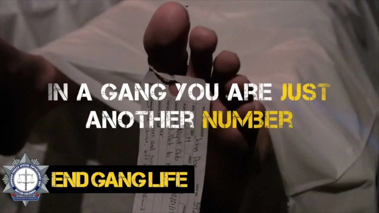 Students of Kamloops School of the Arts create PSAs for End Gang Life ...